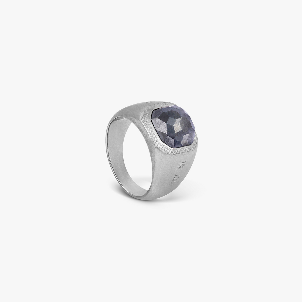 Doppione Signet Ring in Rhodium Silver with Grey Hematite – Tateossian ...